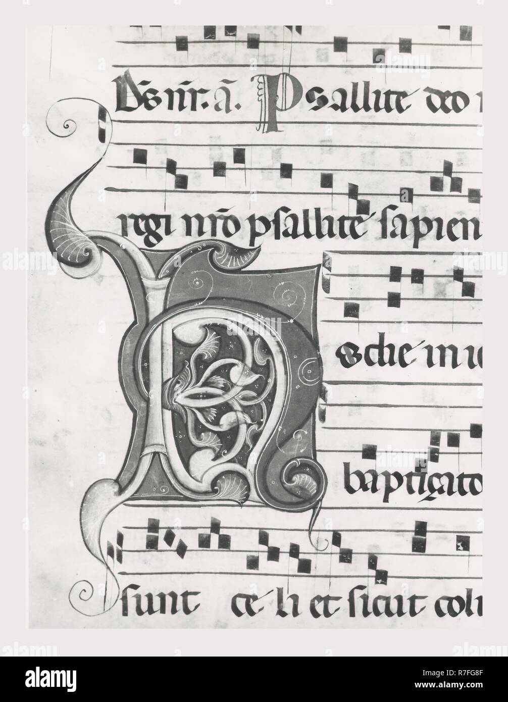 Tuscany Siena Montalcino Museo Civico, this is my Italy, the italian ...