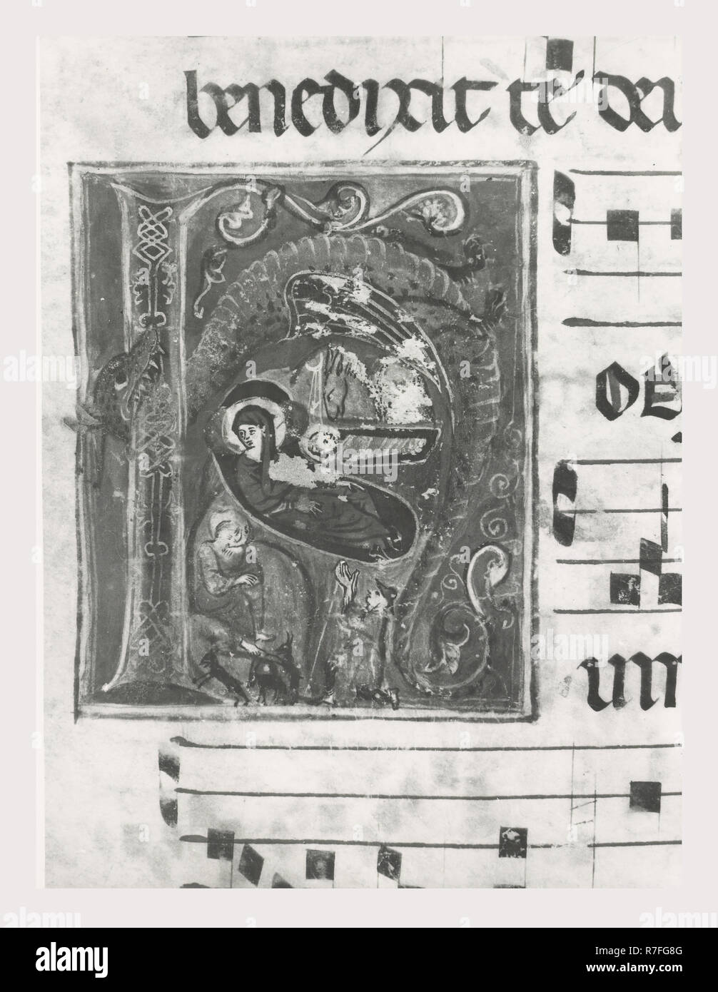 Tuscany Siena Montalcino Museo Civico, this is my Italy, the italian ...