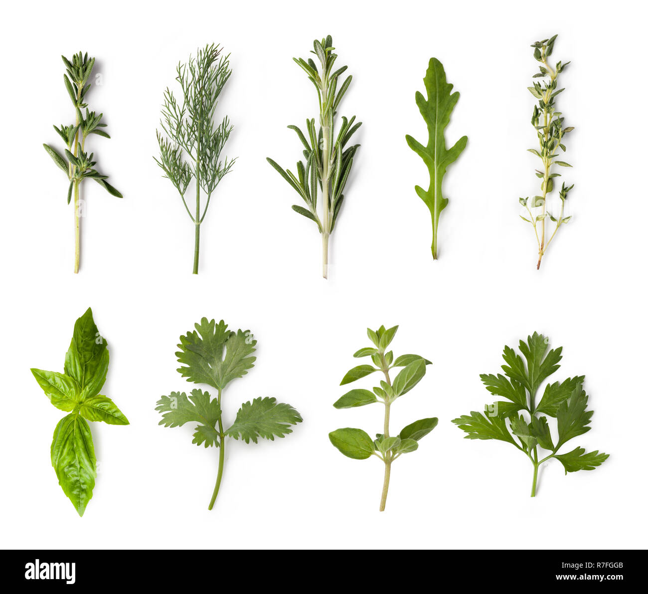 set of Fresh spices and herbs isolated on white background Stock Photo ...