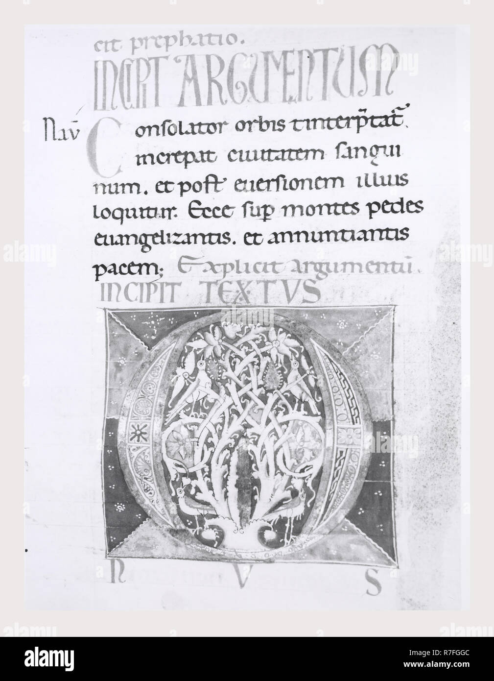 Tuscany Siena Montalcino Museo Civico, this is my Italy, the italian ...