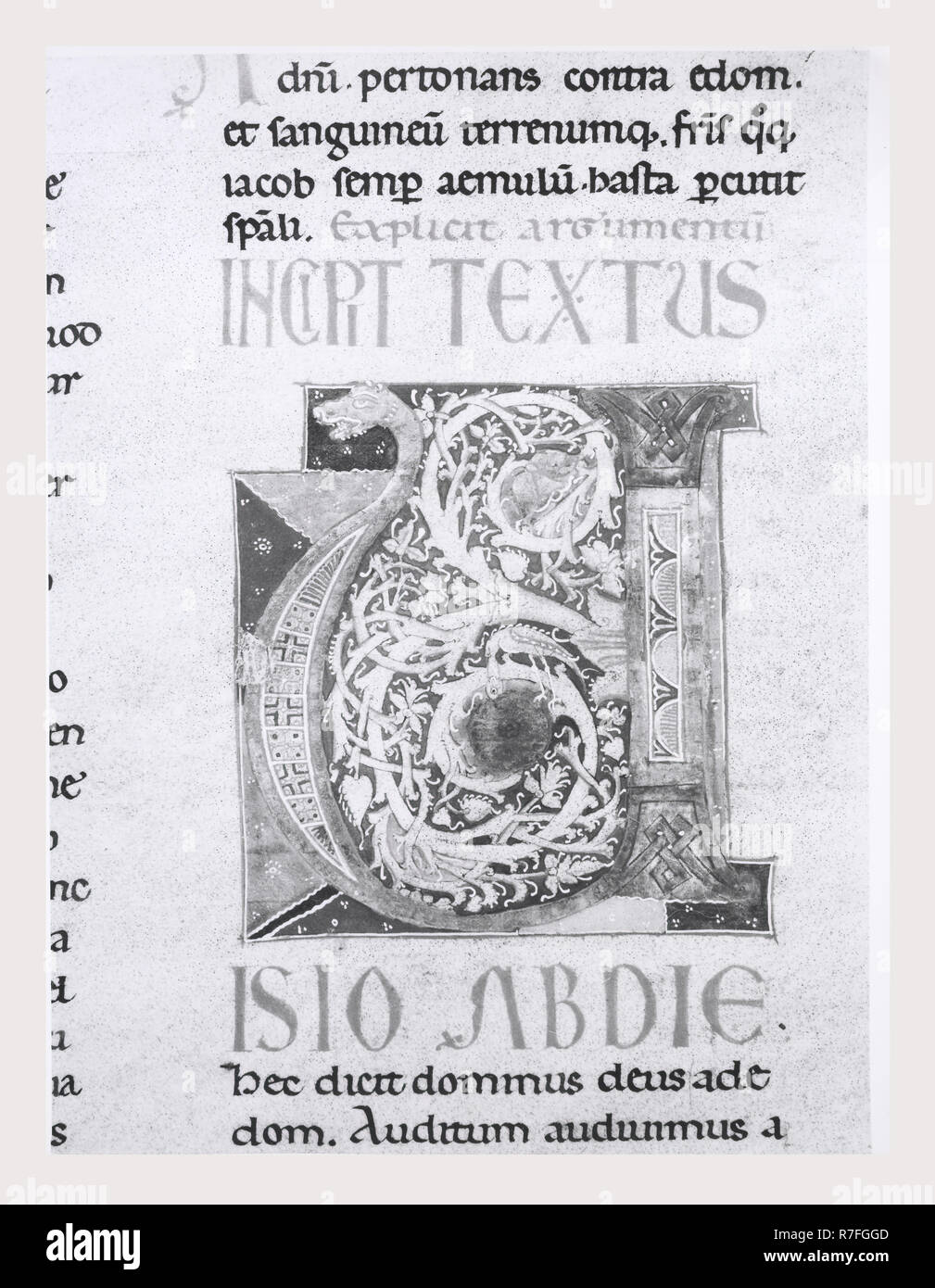 Tuscany Siena Montalcino Museo Civico, this is my Italy, the italian ...