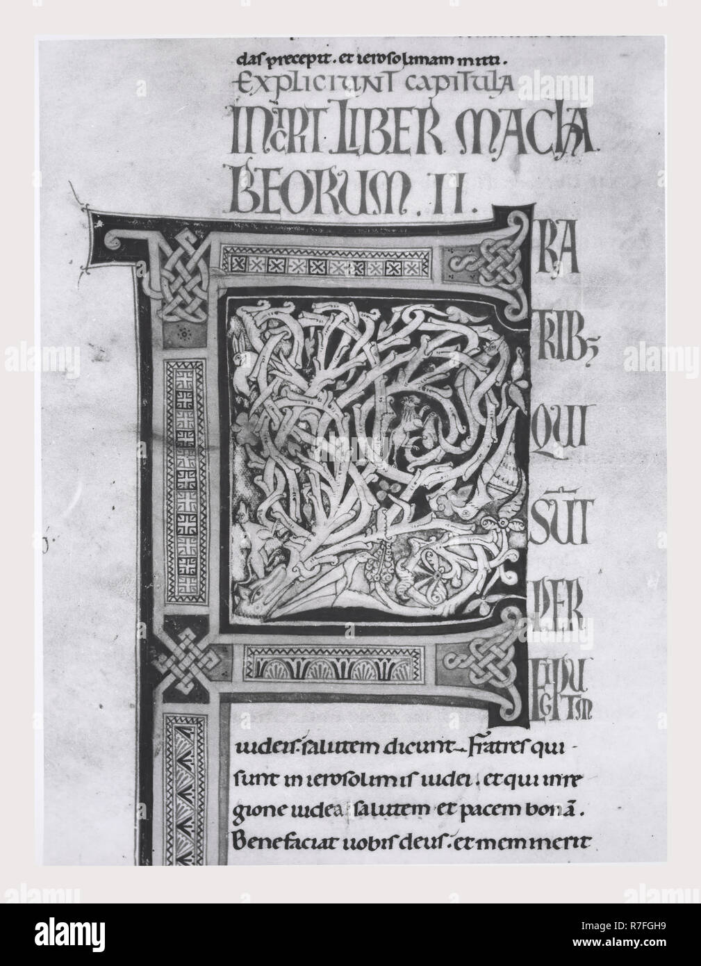 Tuscany Siena Montalcino Museo Civico, this is my Italy, the italian ...