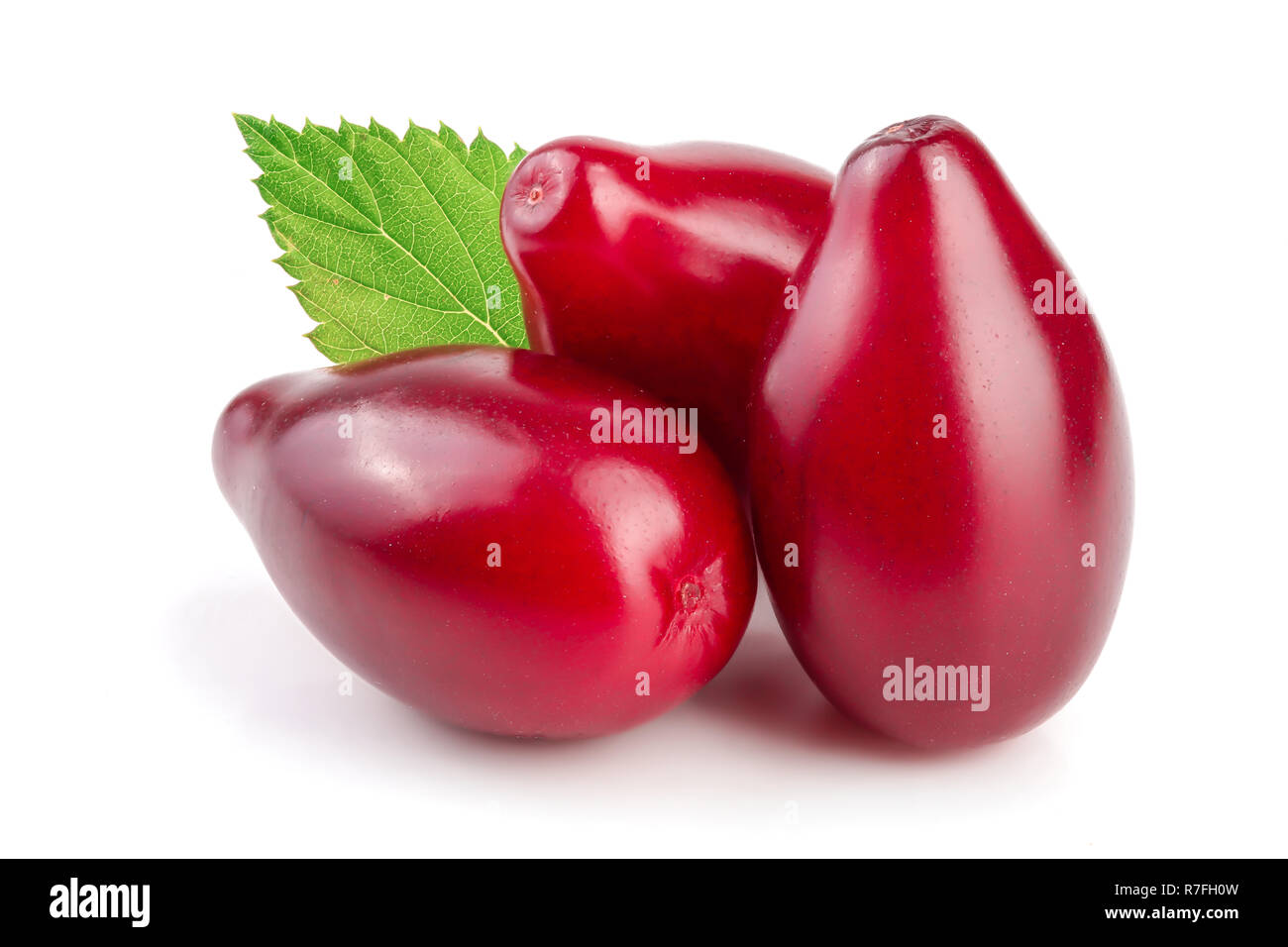 Red berries of cornel or dogwood with leaf isolated on white background ...