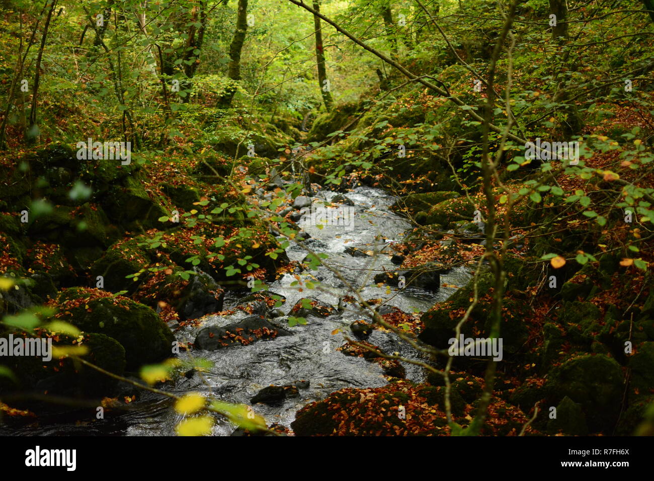 Hydef cymru hi-res stock photography and images - Alamy