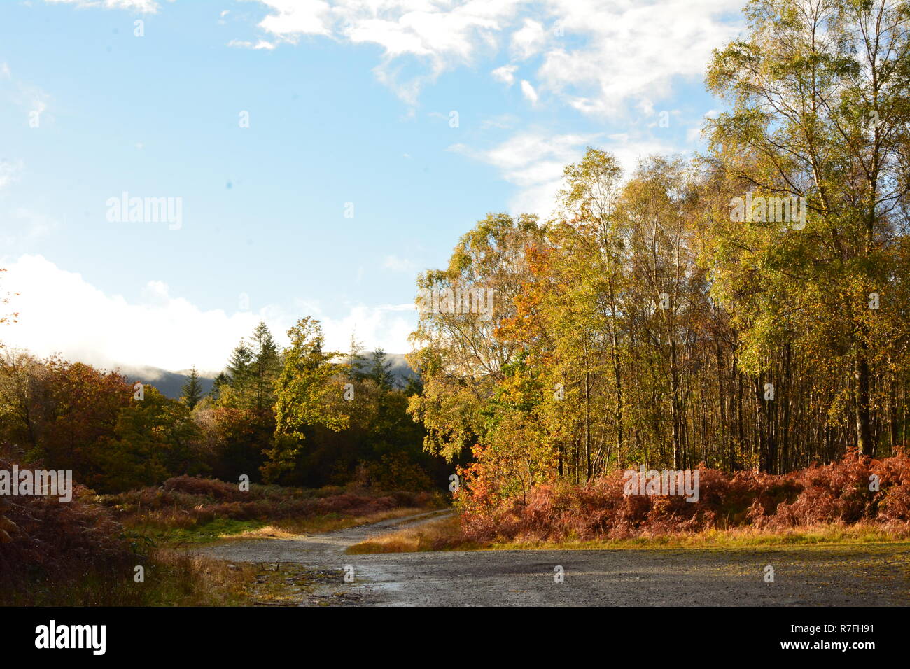 Hydef cymru hi-res stock photography and images - Alamy