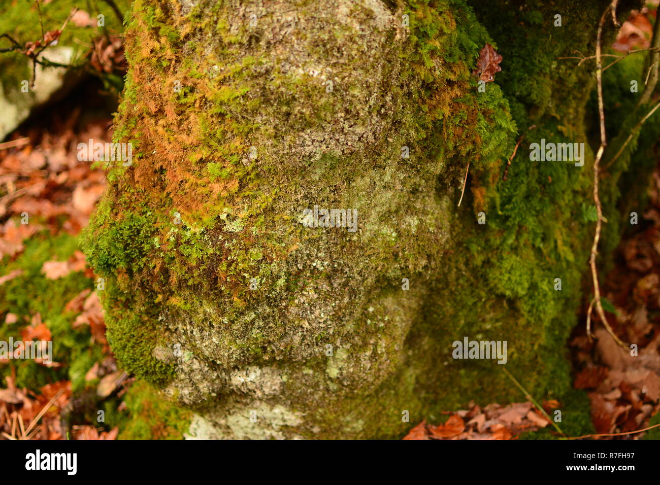 Hydef cymru hi-res stock photography and images - Alamy