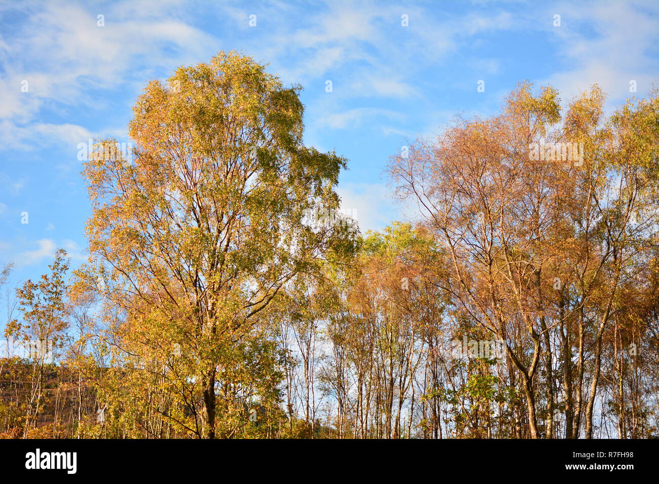 Hydef cymru hi-res stock photography and images - Alamy