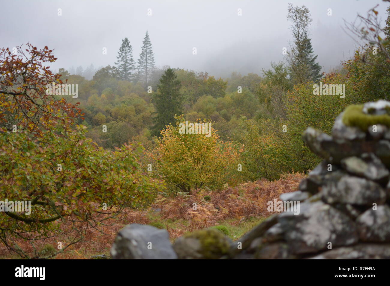 Hydef cymru hi-res stock photography and images - Alamy