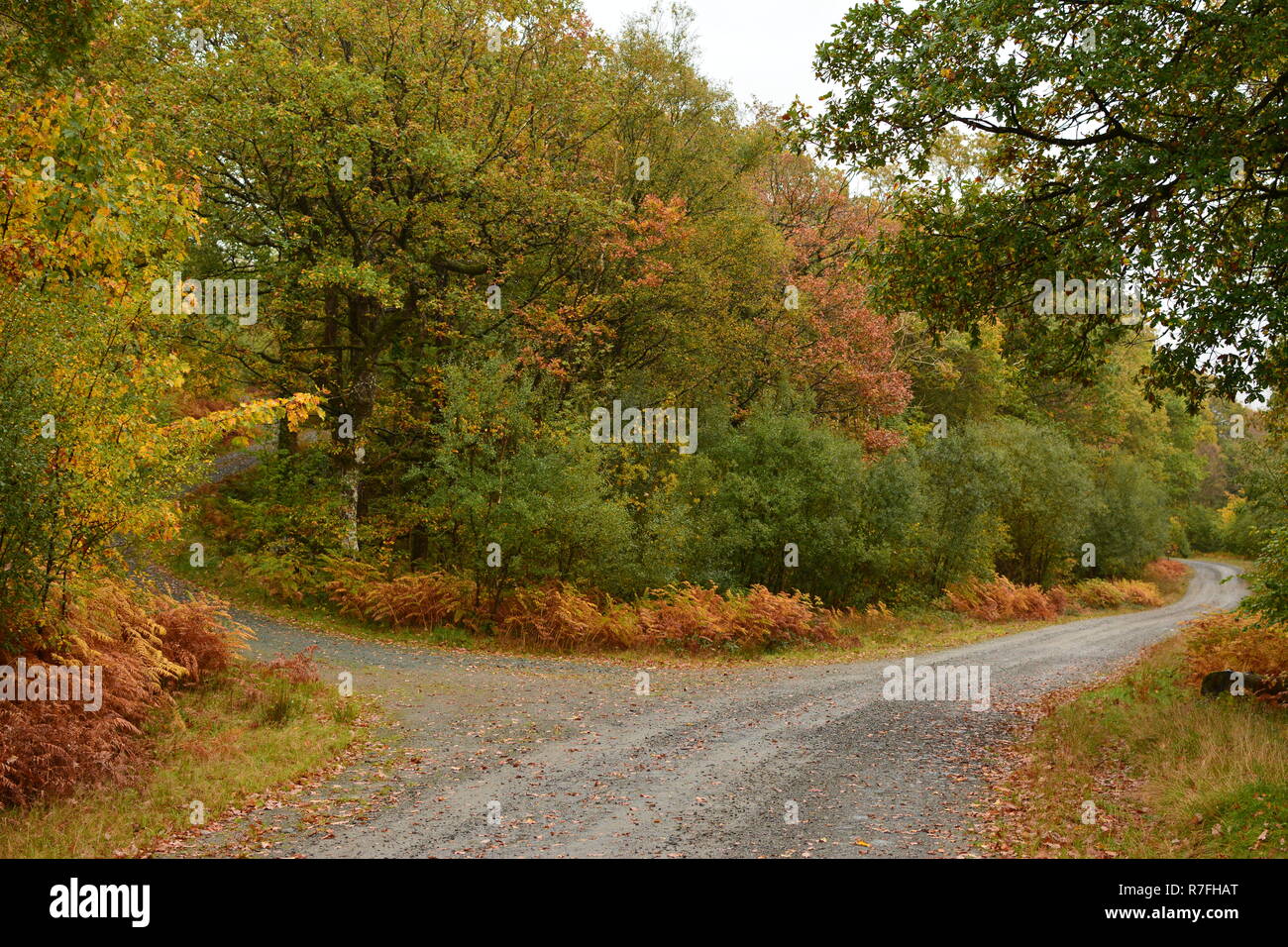 Hydef cymru hi-res stock photography and images - Alamy
