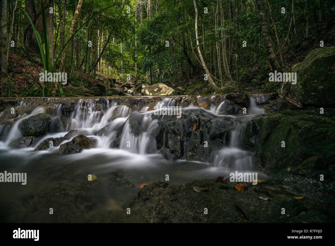 The Phaeng Waterfalls 3 Koh Phangan Thailand Surat thani Stock Photo ...