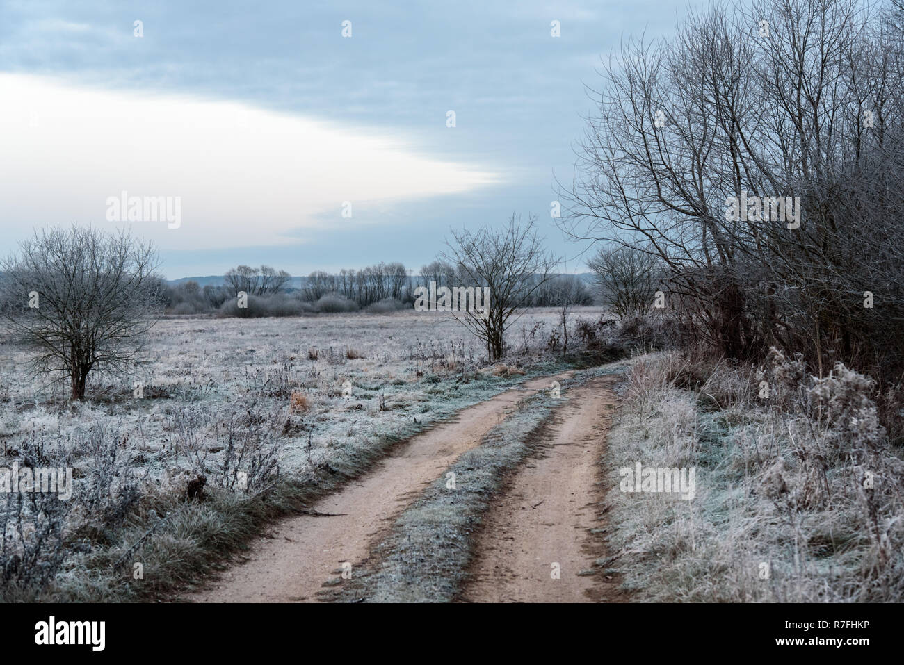 Frosted plants hi-res stock photography and images - Alamy