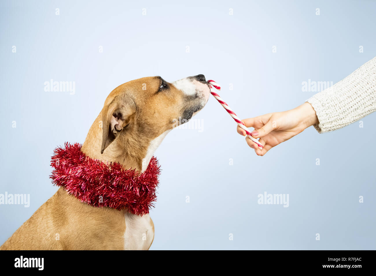 Giving away candy hi-res stock photography and images - Alamy