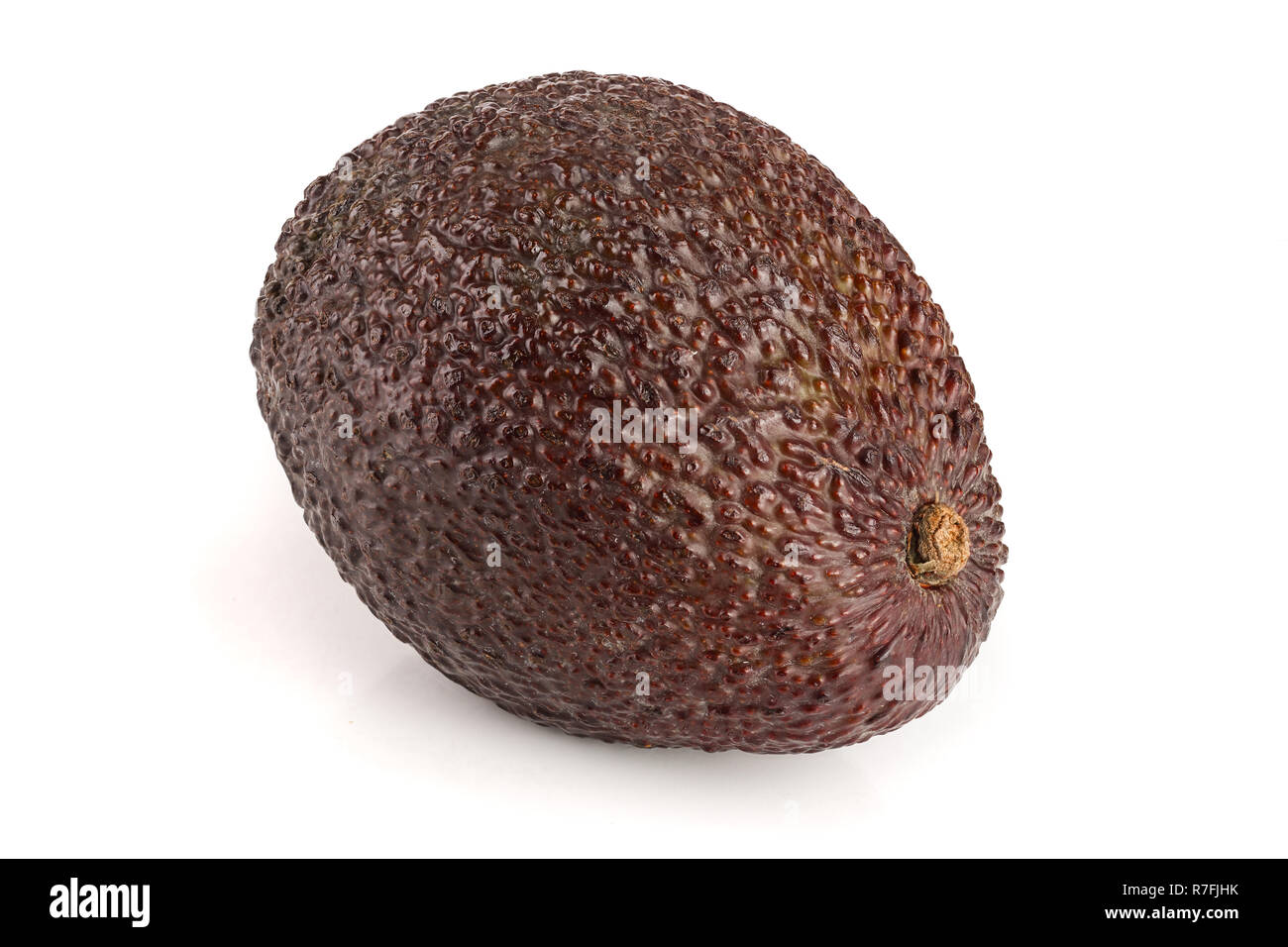 one whole avocado isolated on white background Stock Photo - Alamy