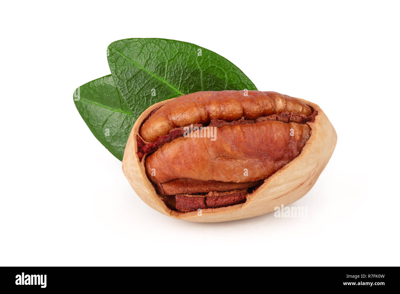 pecan nut with green leaves isolated on white background Stock Photo ...
