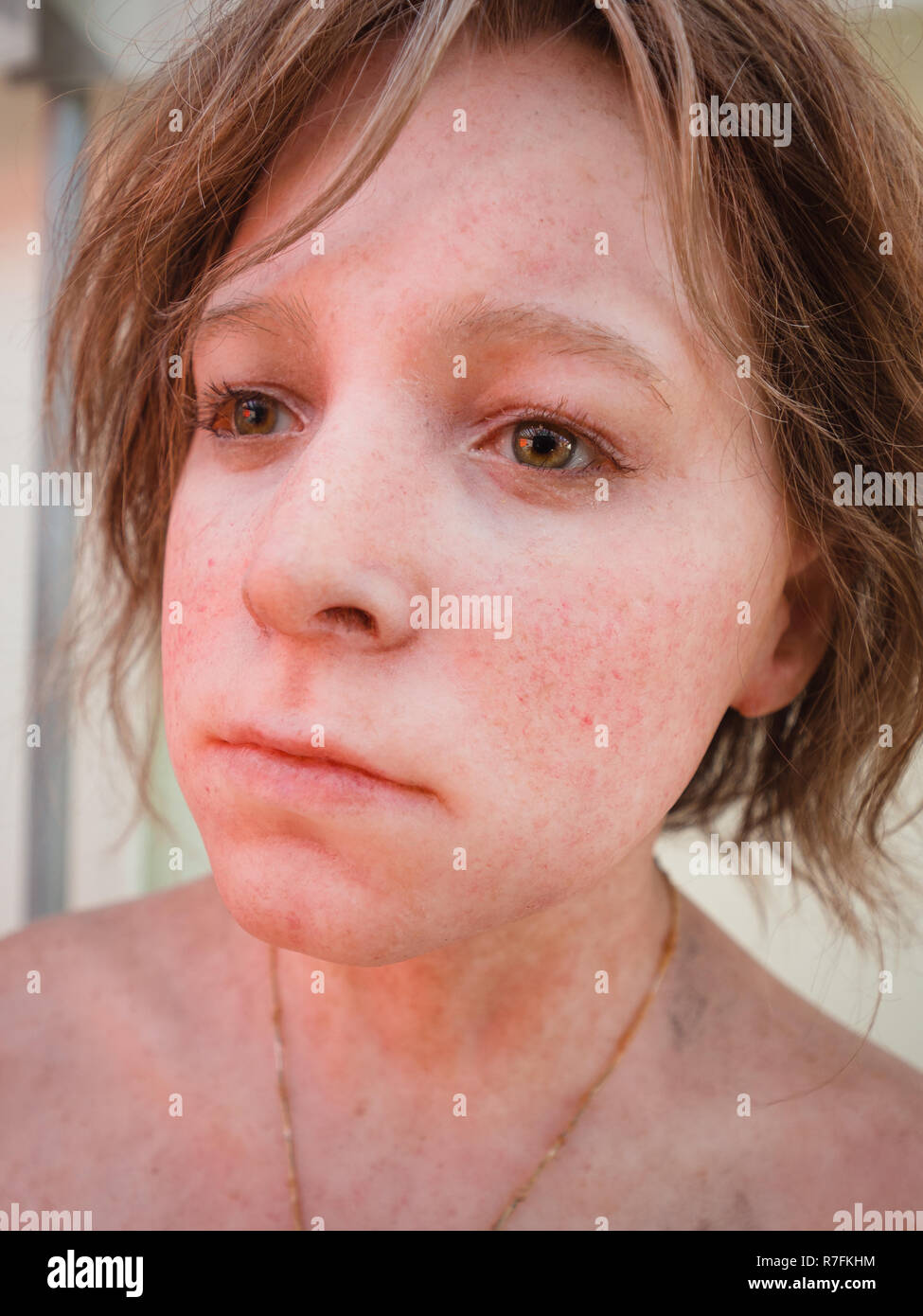 Caveman museum hi-res stock photography and images - Alamy