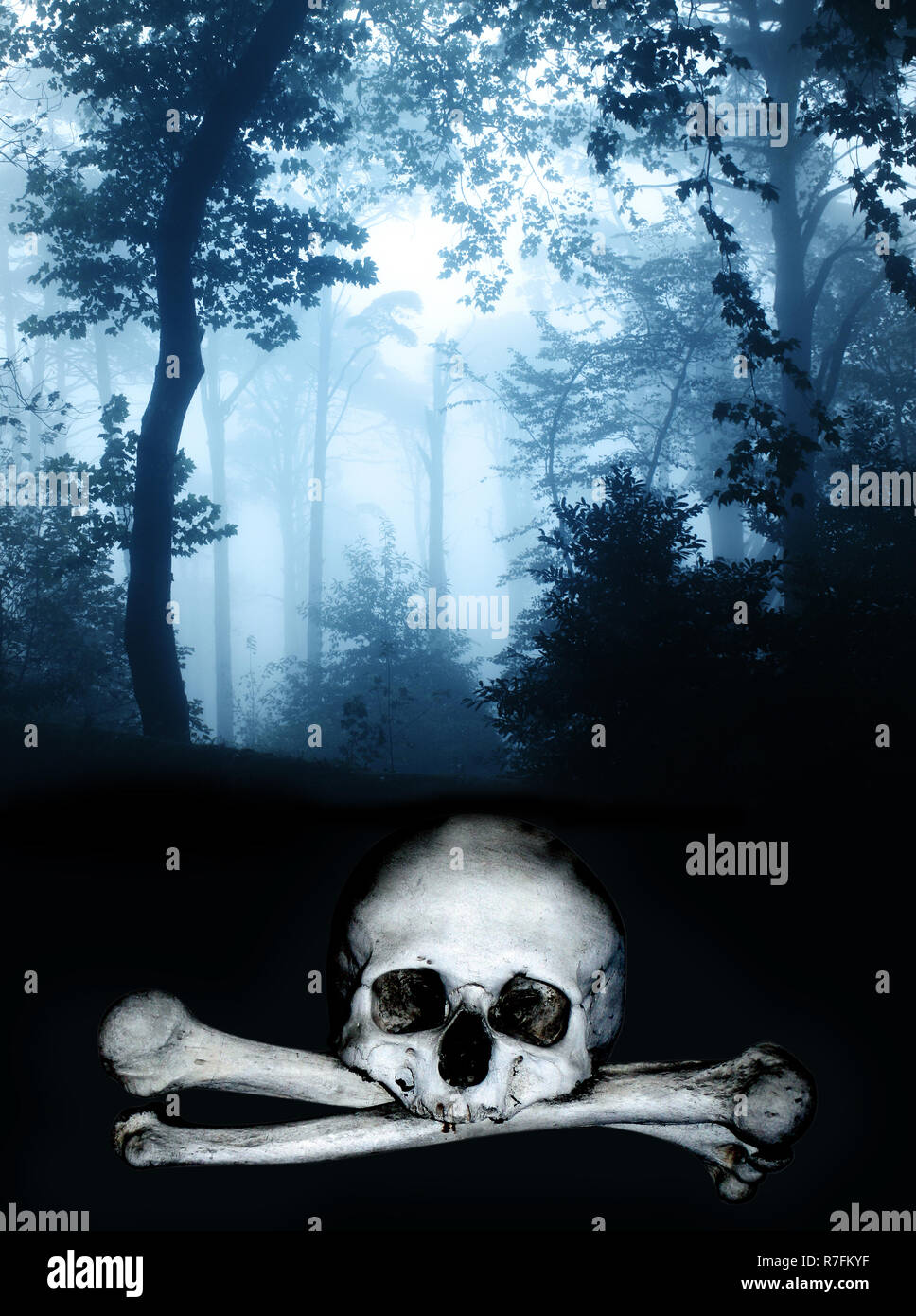 Dark series. Skull and bones in the dark foggy forest Stock Photo - Alamy