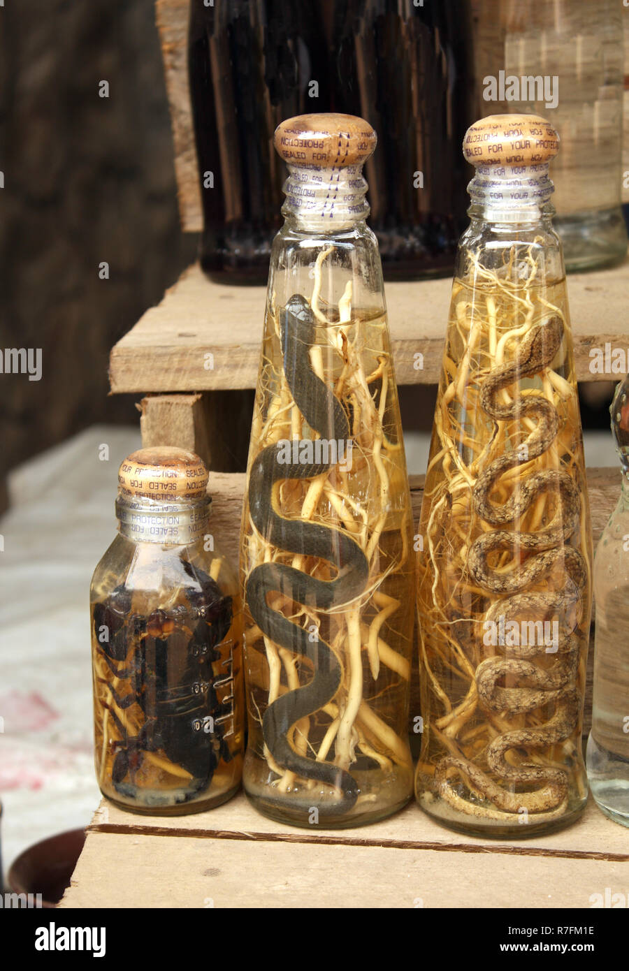 Bottles with traditional laotian alcohol with snakes and scorpions ...
