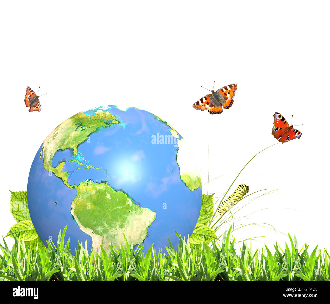 Summer green leaves, grass, insects and Earth. Isolated over white ...