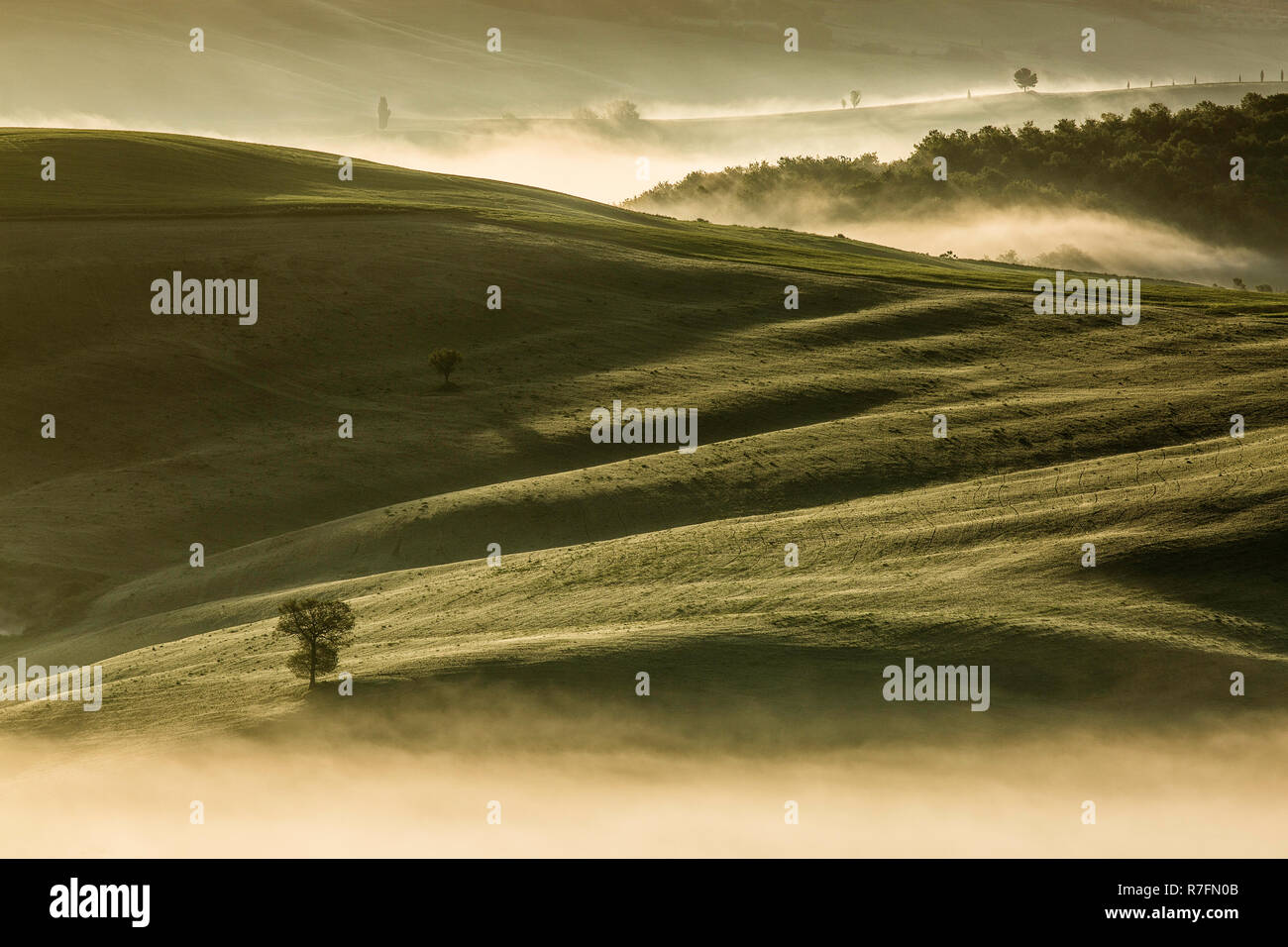 Mist rolling hills hi-res stock photography and images - Alamy