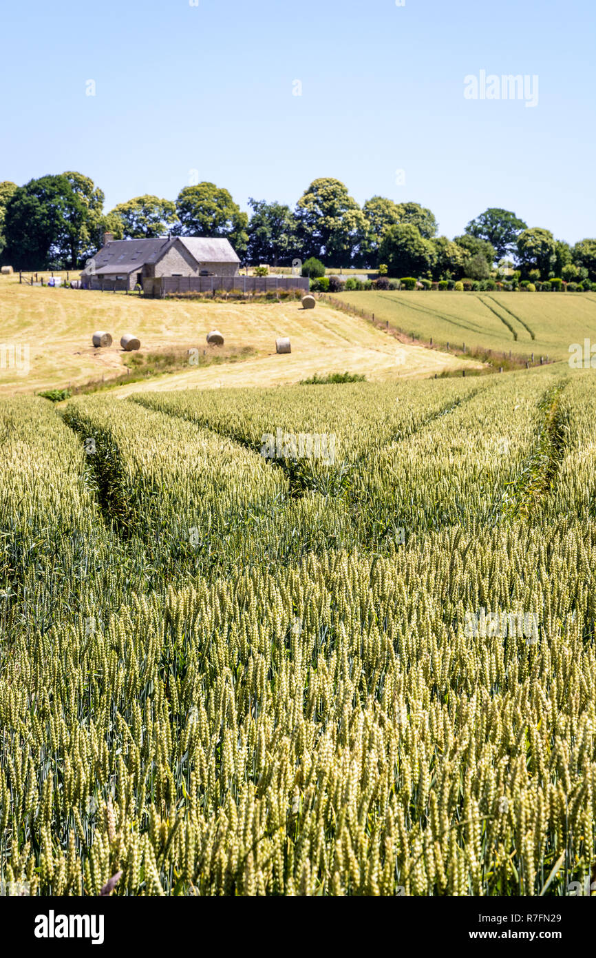 Normandy countryside hi-res stock photography and images - Alamy