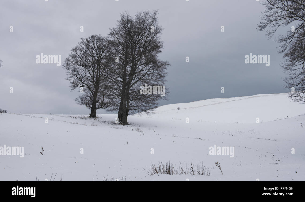 winter landscape in Europe Stock Photo - Alamy