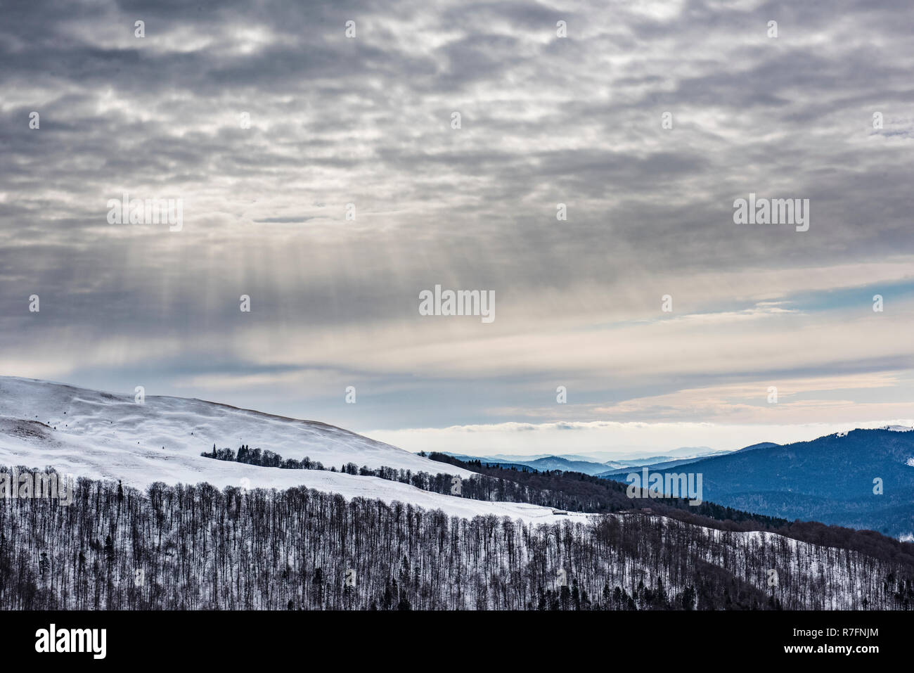 winter landscape in Europe Stock Photo - Alamy