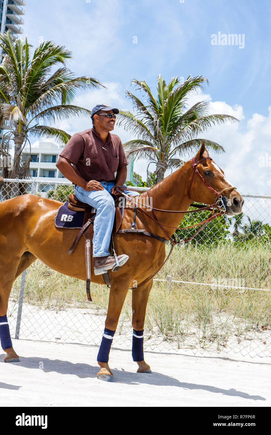 Miami Beach Florida,Polo World Cup Matches,sport,tournament,equestrian ...