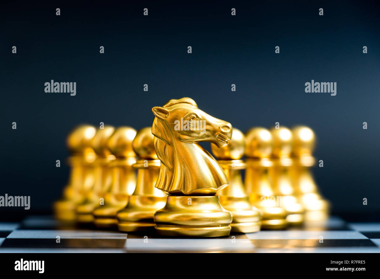 Knight Chess Piece Stock Photos & Knight Chess Piece Stock Images - Alamy
