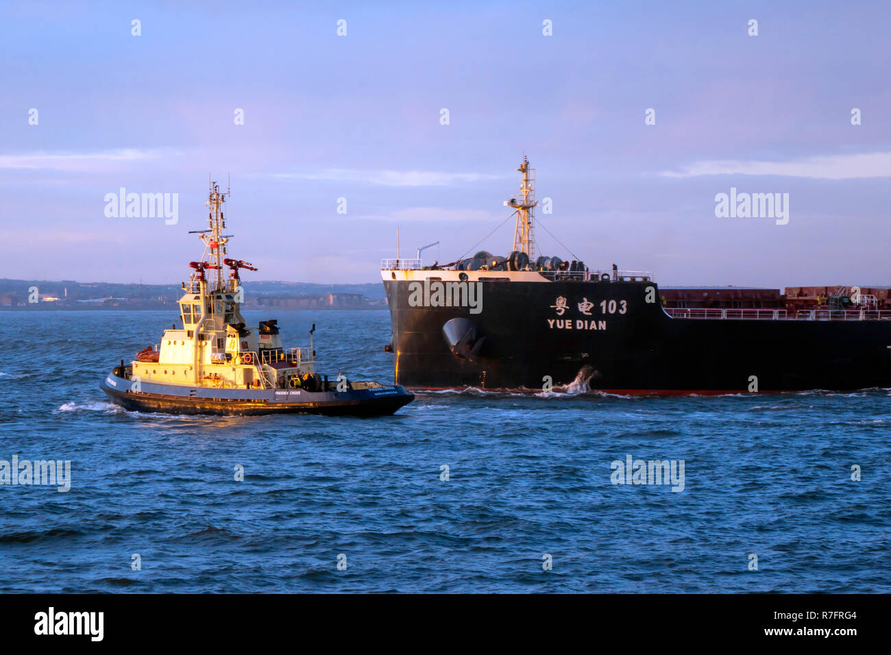 A Middlesbrough harbour tug Phoenix Cross connecting to the bow of ...