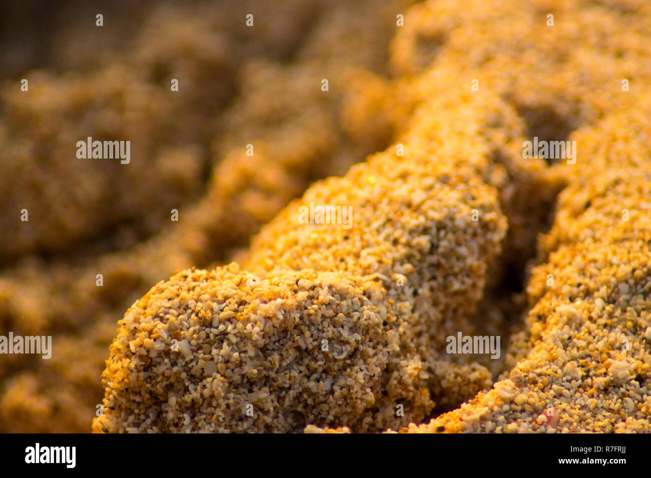 beach sand close up macro photo Stock Photo - Alamy