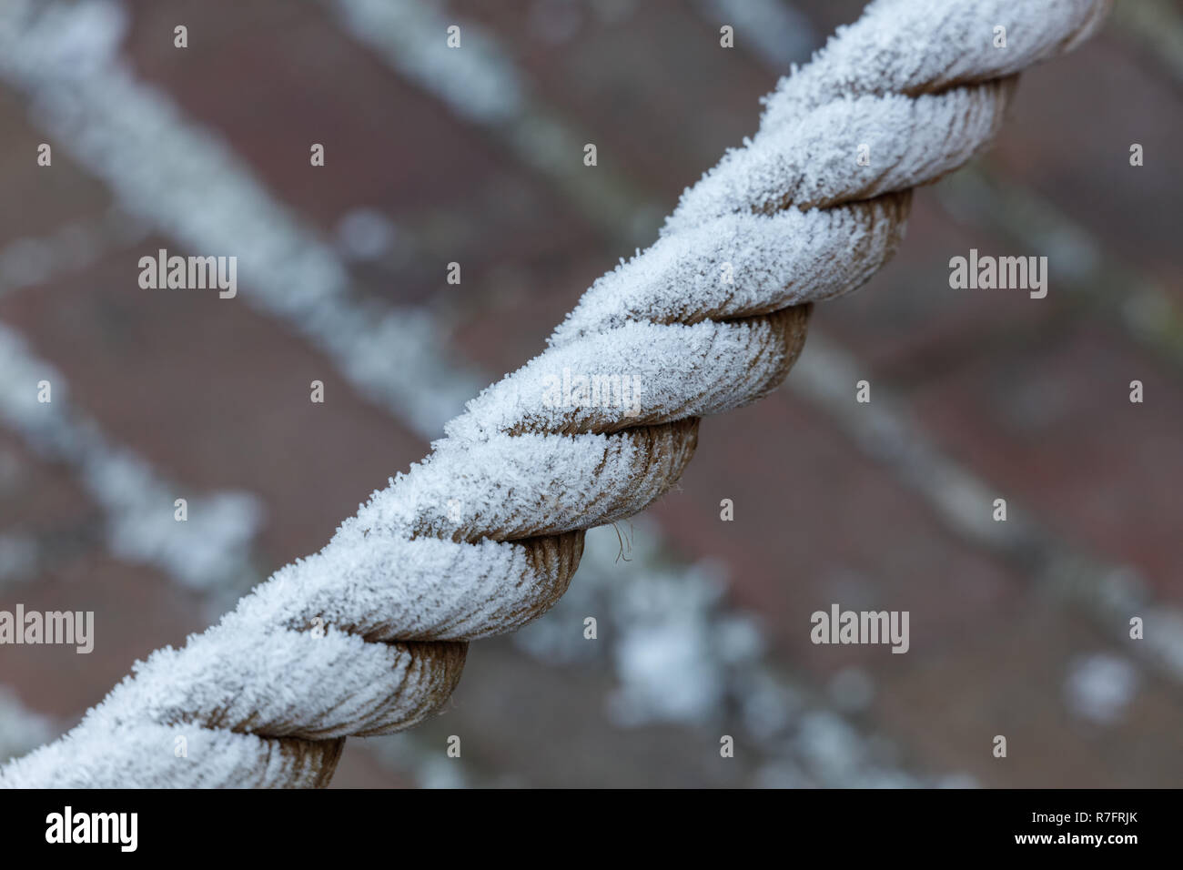 Thick rope white background hi-res stock photography and images - Alamy