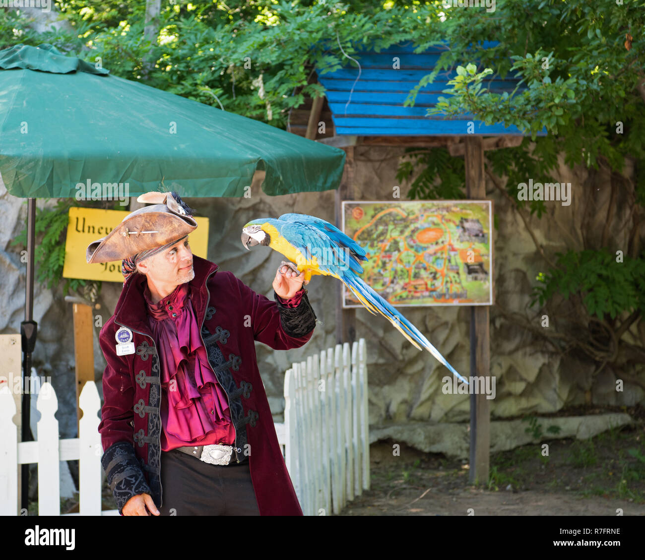 Magic Bird High Resolution Stock Photography and Images - Alamy