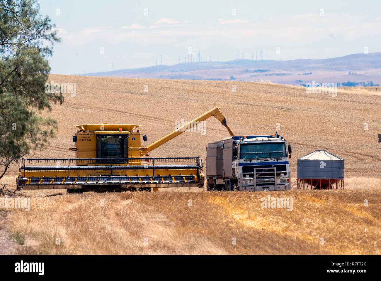 Australia wheat header hi-res stock photography and images - Alamy