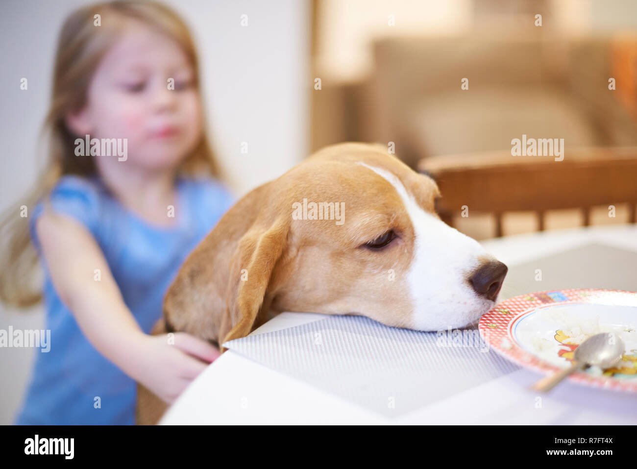 Hold nose dog hi-res stock photography and images - Alamy