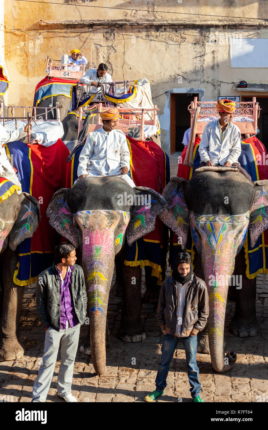 Elephants at amer hi-res stock photography and images - Alamy