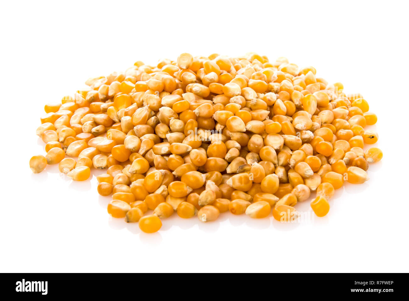 Dried yellow colorful corn Cut Out Stock Images & Pictures - Alamy