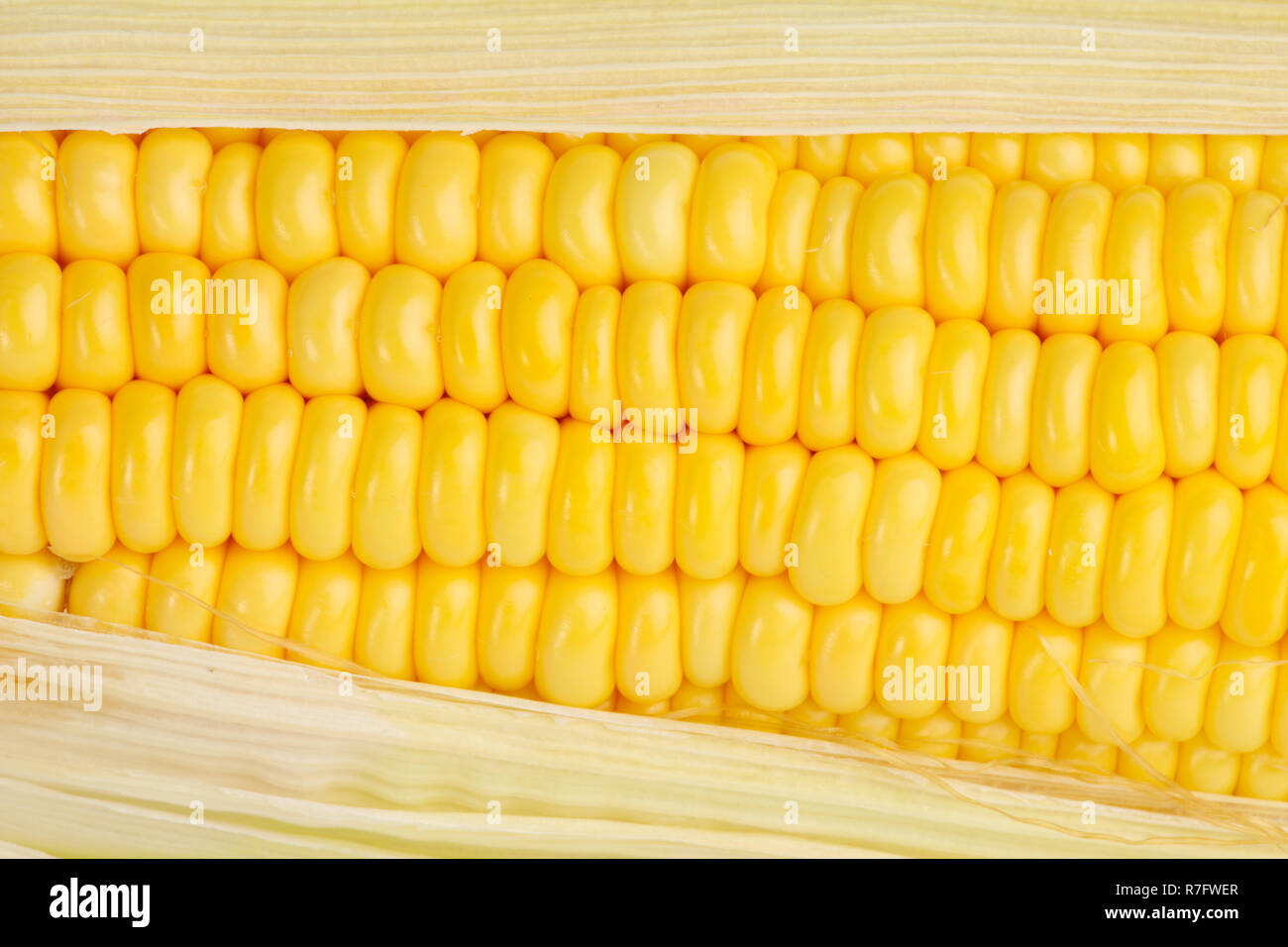 Macro of a cob of corn high resolution Stock Photo - Alamy