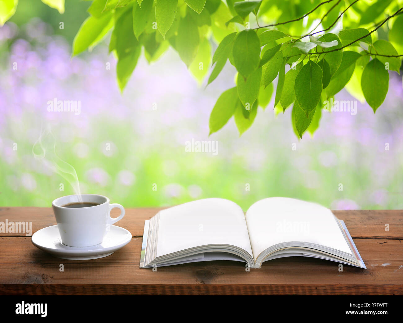 Sunny trees background hi-res stock photography and images - Alamy