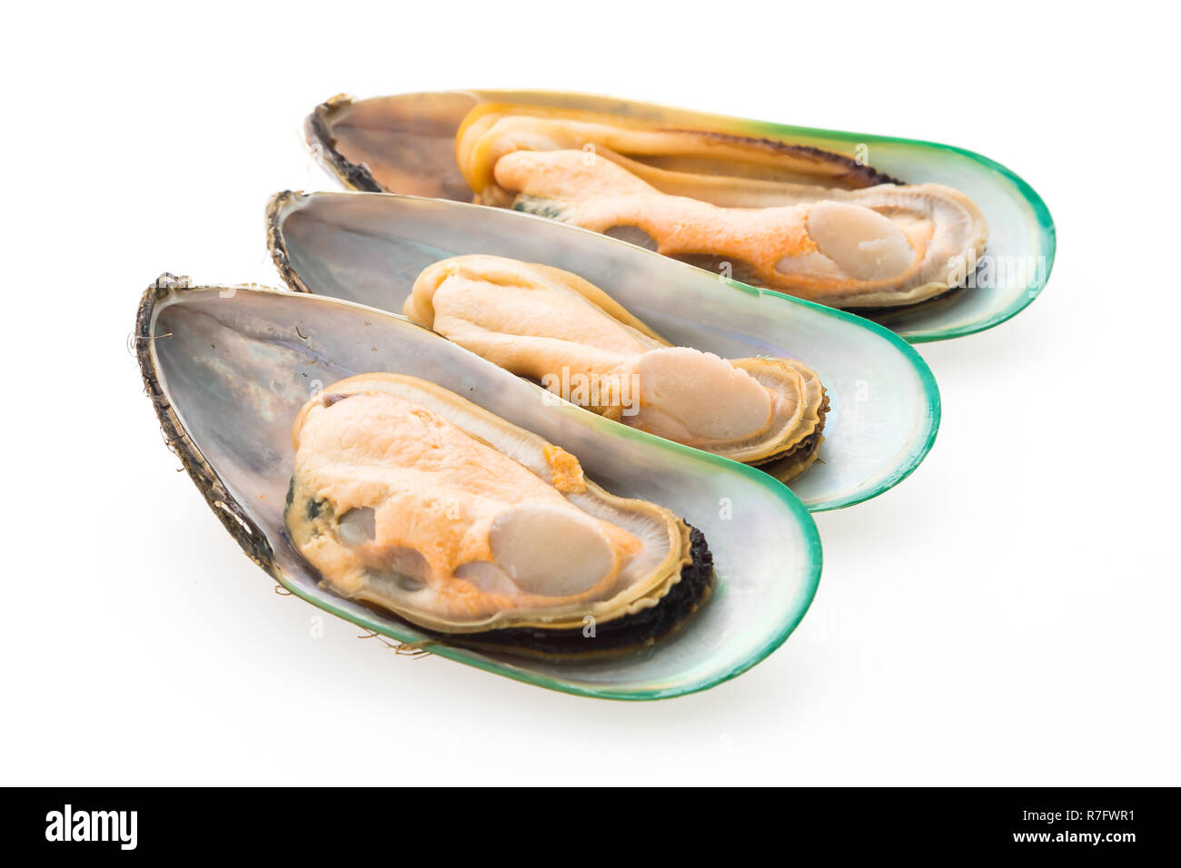 mussel isolated on white background Stock Photo - Alamy
