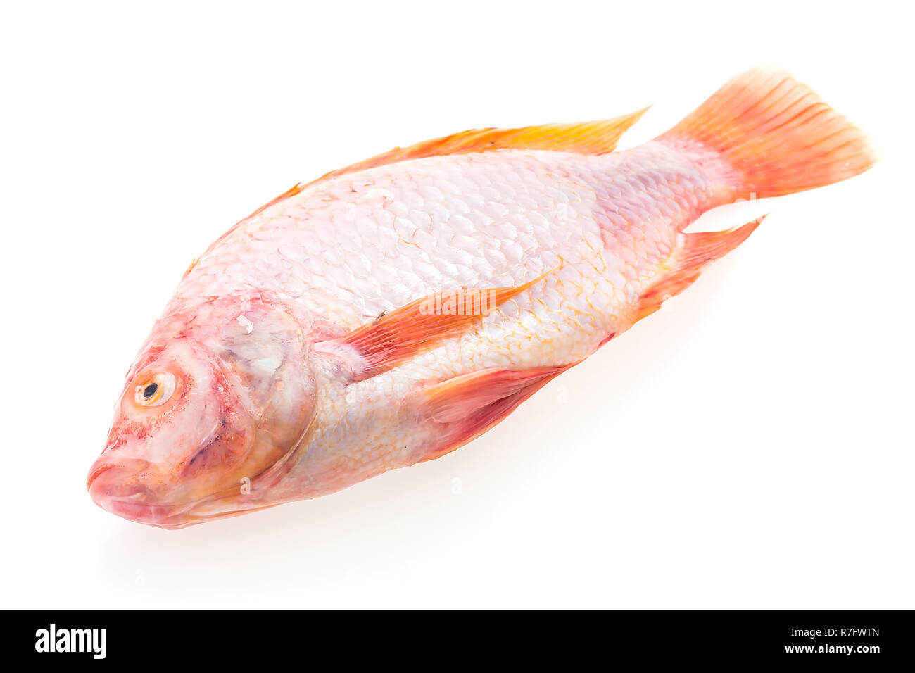 Raw fresh fish isolated on white background Stock Photo - Alamy