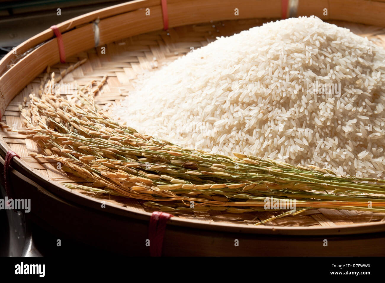 rice on threshing basket Stock Photo - Alamy