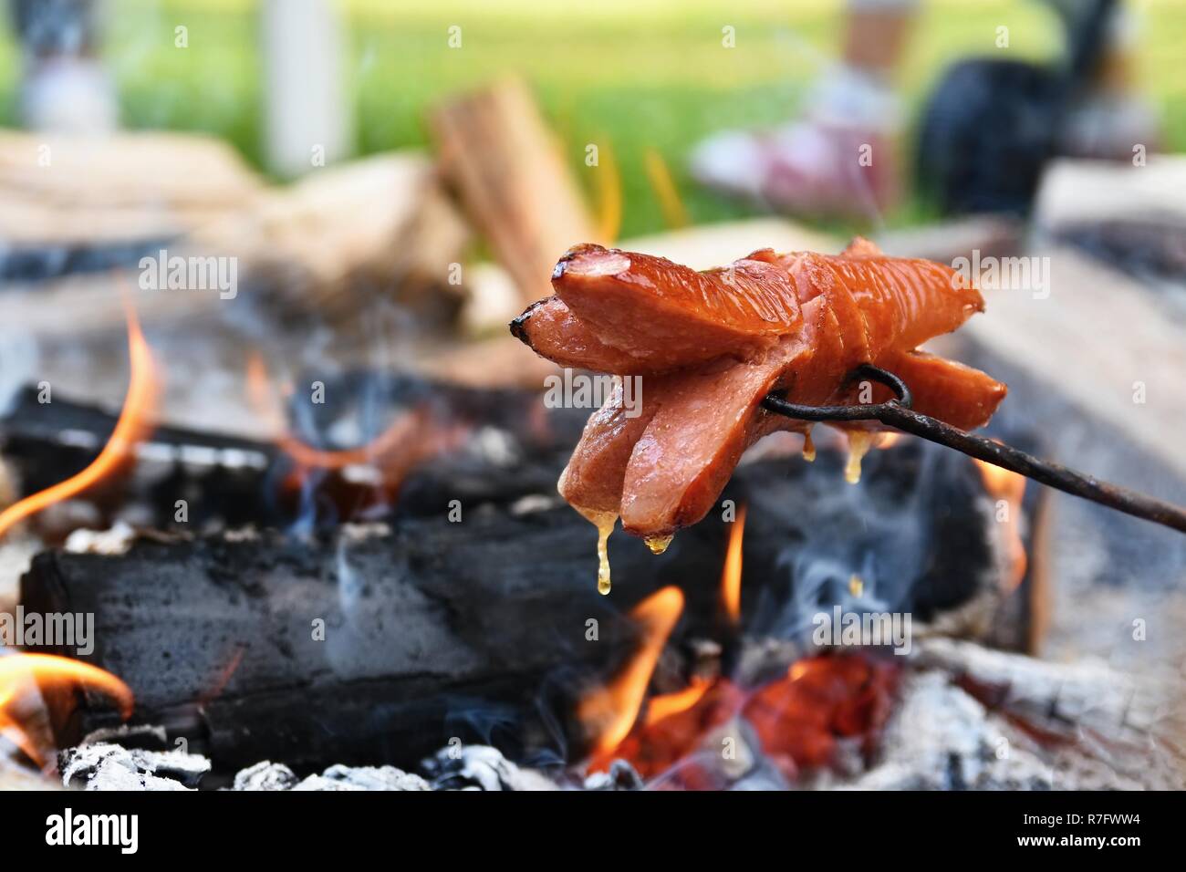 Roasting sausages over a fire. Camping in nature - food Stock Photo - Alamy