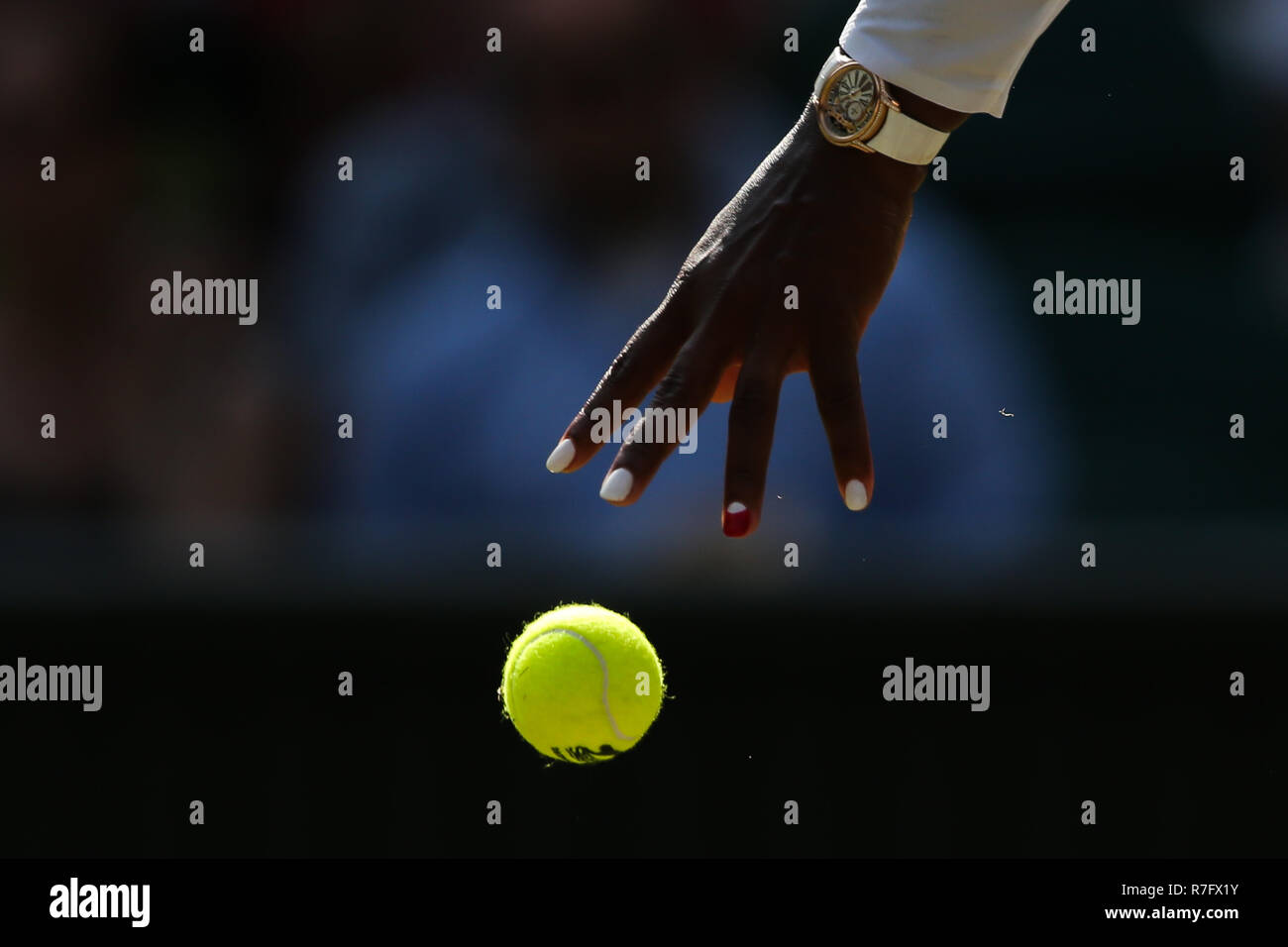 Close up of hand of Serena Williams at Wimbledon, London, Great Britain ...