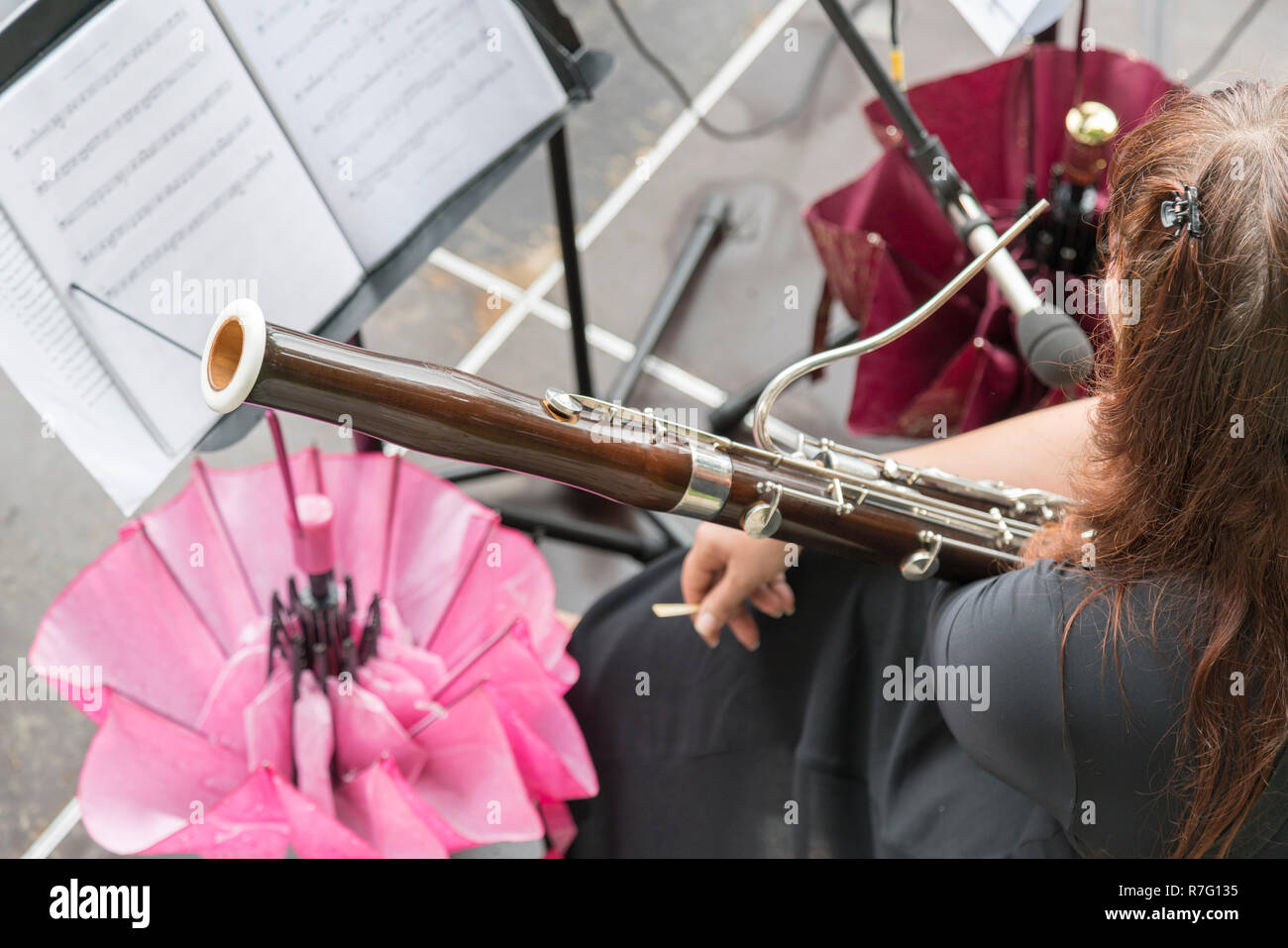 Girl playing the bassoon. back view Stock Photo - Alamy