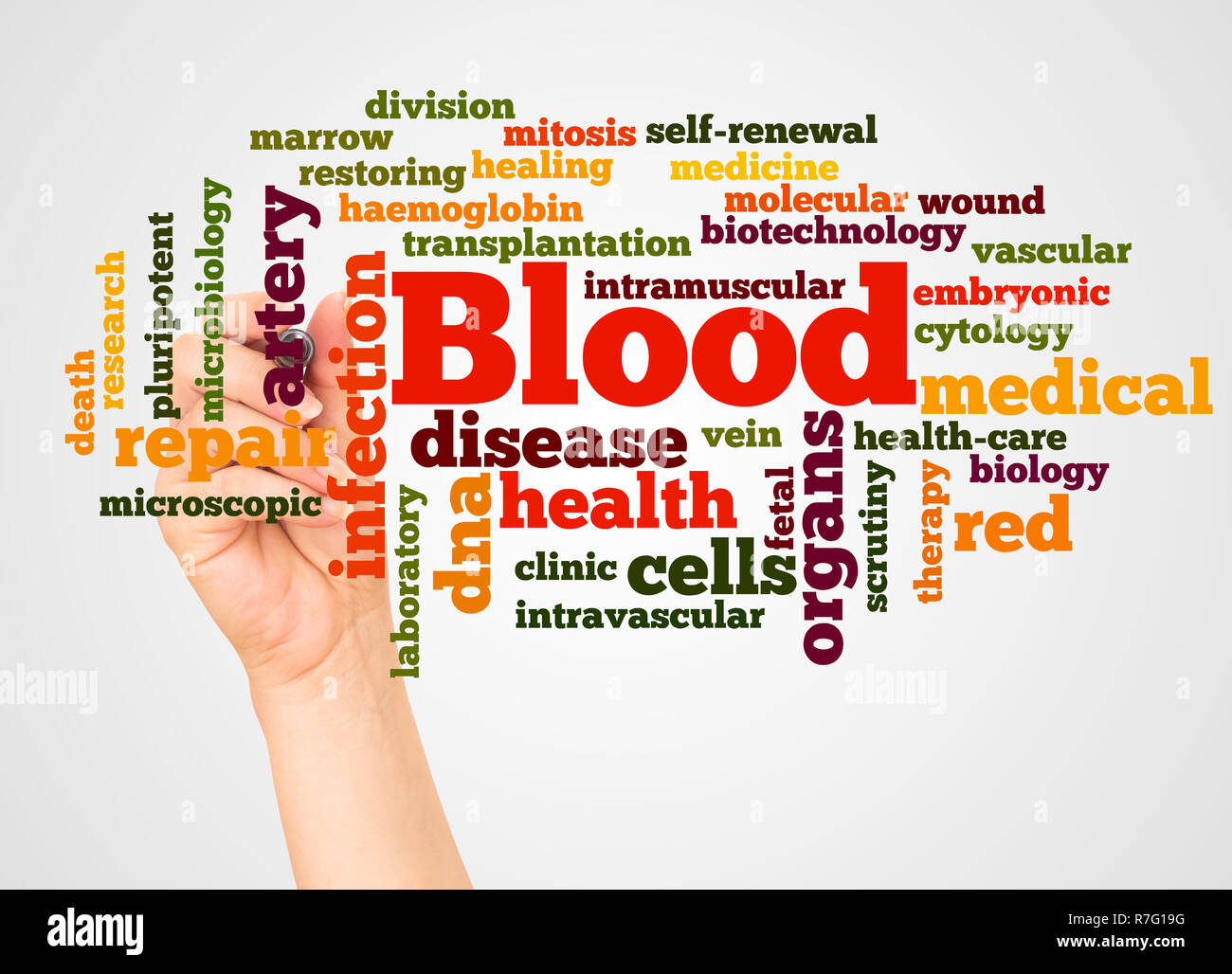 Blood word cloud and hand with marker concept on white background Stock ...
