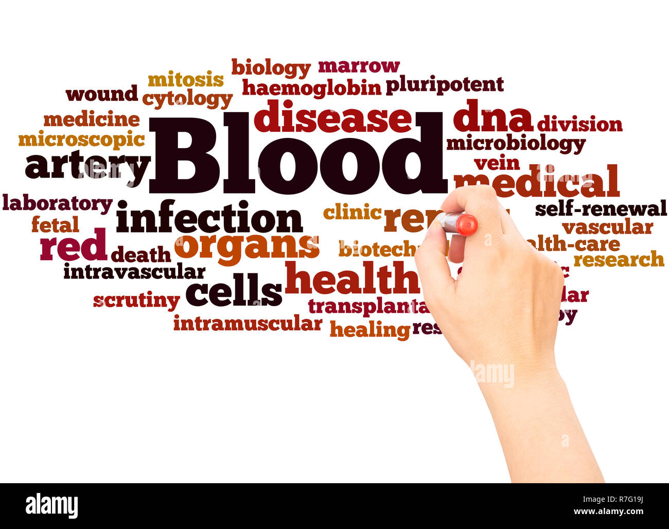 Fetal therapy Cut Out Stock Images & Pictures - Alamy