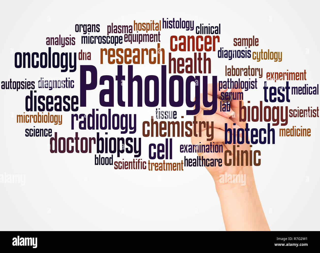 Pathology word cloud and hand with marker concept on white background ...