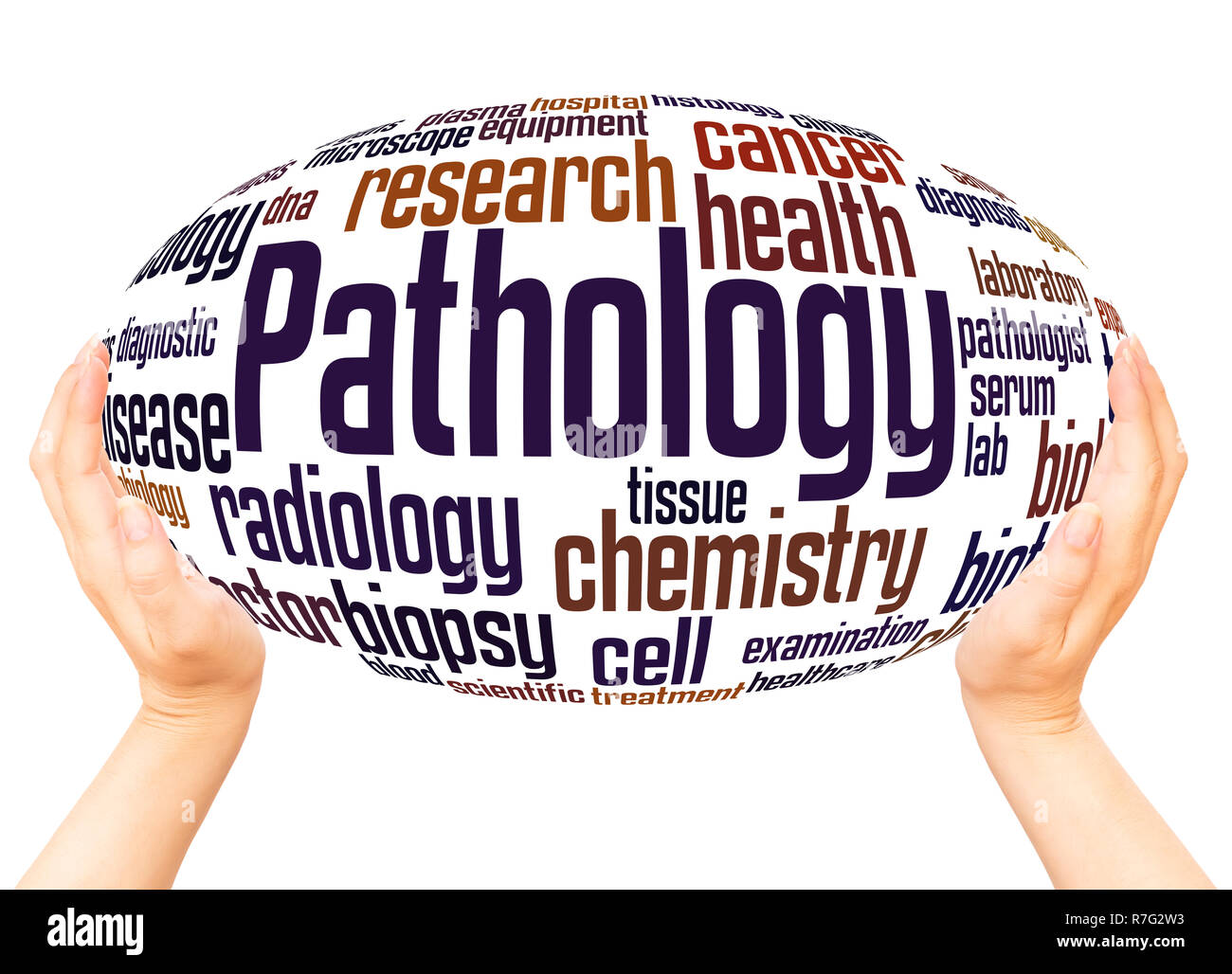 Pathology Word Cloud Hand Sphere Concept On White Background Stock