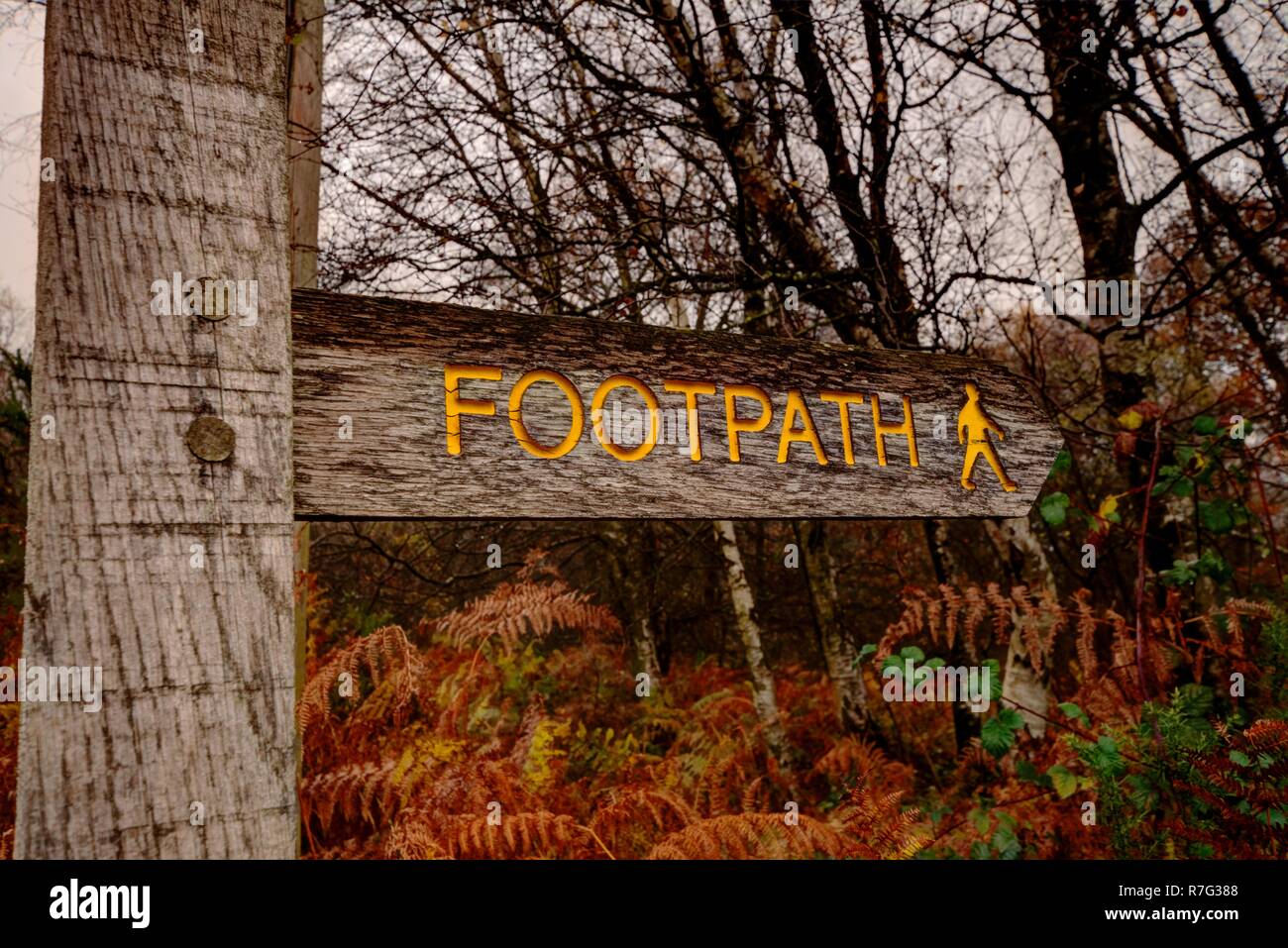 Typical English country footpath sign with yellow print on timber with ...