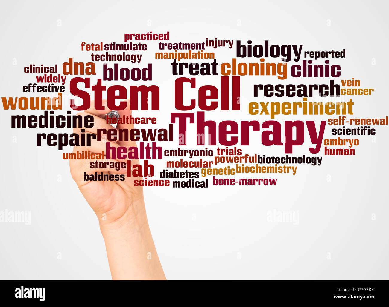 Stem cell therapy word cloud and hand with marker concept on white ...